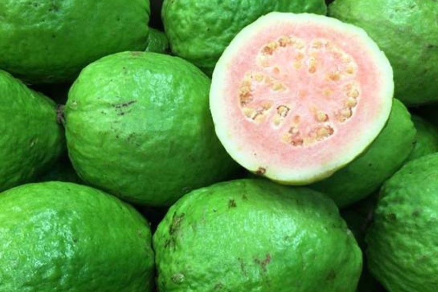 Dicas CEAGESP: Goiaba vermelha é o produto destaque da semana (19 a 23/ ...