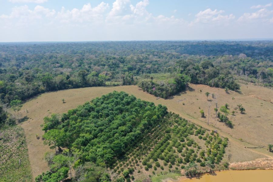 Embrapa cria Rede de Restauração de Ecossistemas - Cartão de Visita News